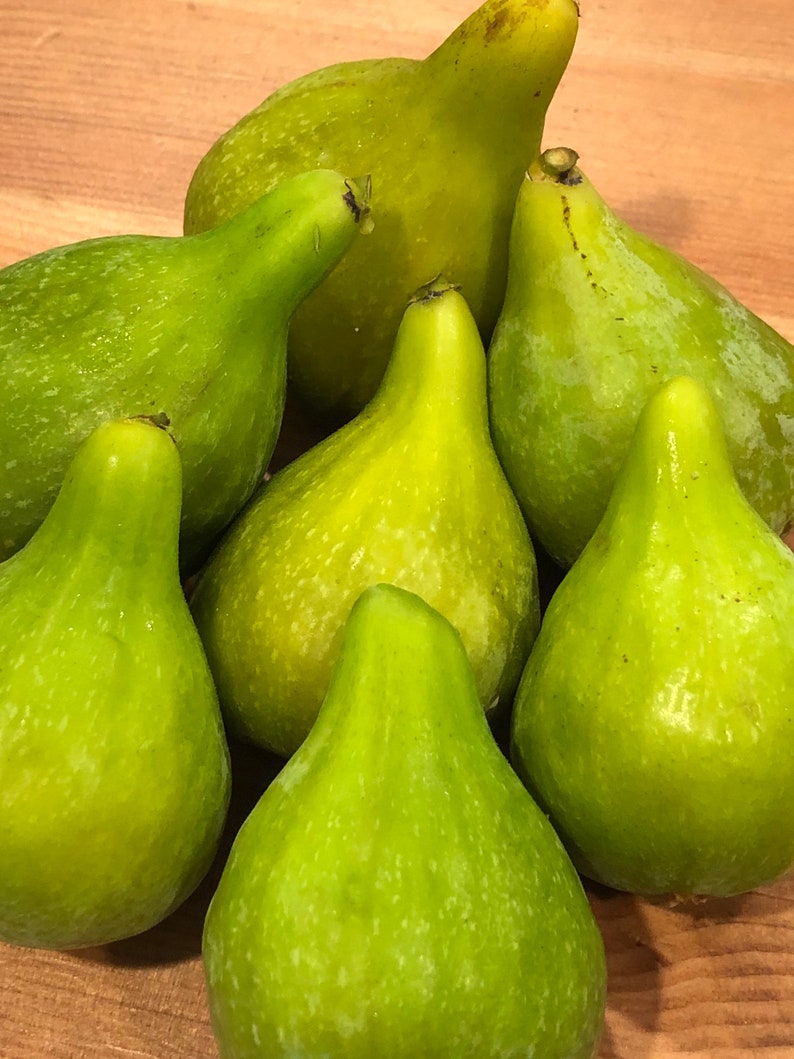 50 Seeds Sweet Common Green Fig Seeds strawberry Color - Etsy