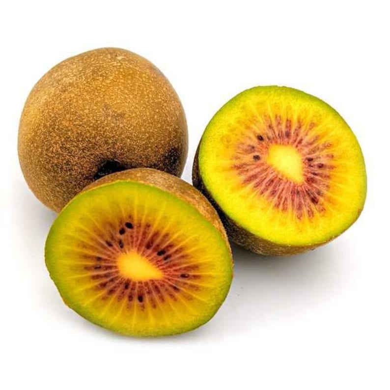 20 Seeds Unique Red Starburst Passion Kiwifruit Actinidia - Etsy
