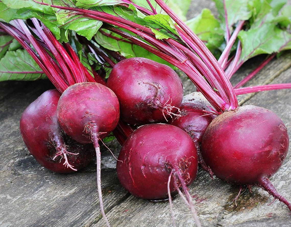 50 Seeds Organic Sweet HEIRLOOM. Unbeatable Beets: Dark Red, Extremely ...