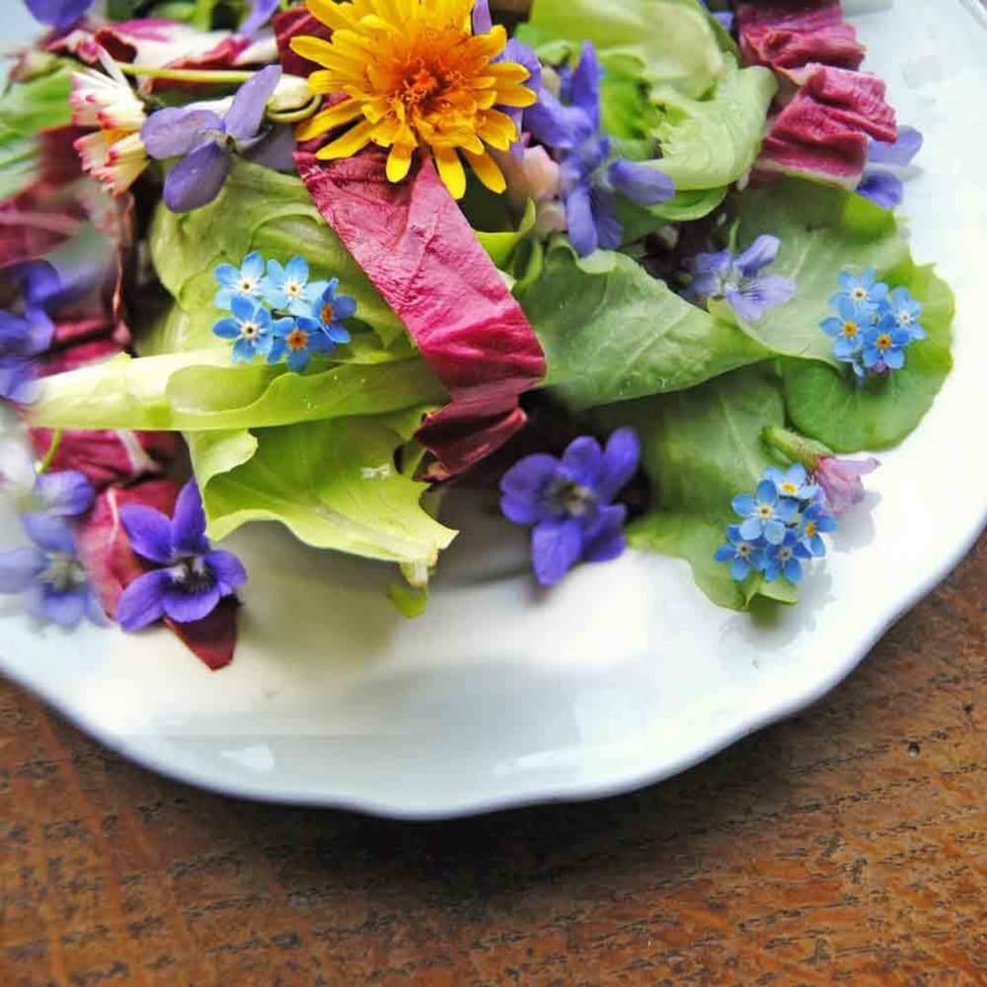 50 Seeds Organic Edible Flower and Herbs Mix Pansies, Cornflowers ...