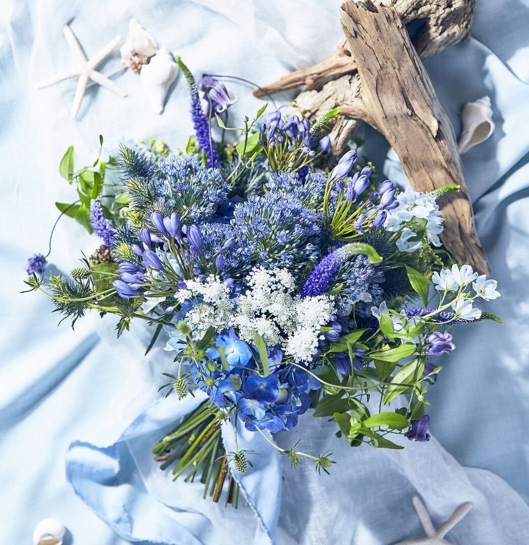 30 Seeds Lovely Flower Blue Mix - Etsy