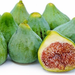 50 Seeds Sweet Common Green Fig Seeds (strawberry Color )organic - Etsy