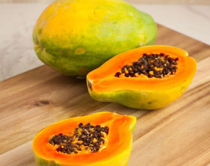 5 Seeds Sweet Original Solo Sunrise Papaya SEED - Etsy