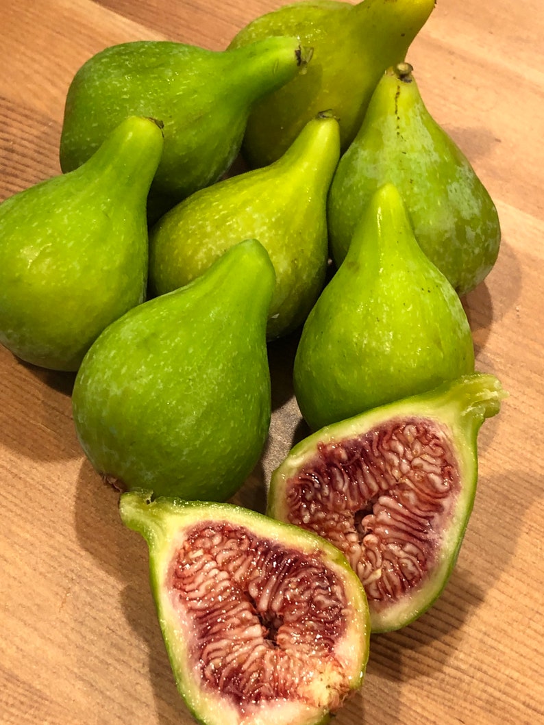 50 Seeds Sweet Common Green Fig Seeds strawberry Color - Etsy