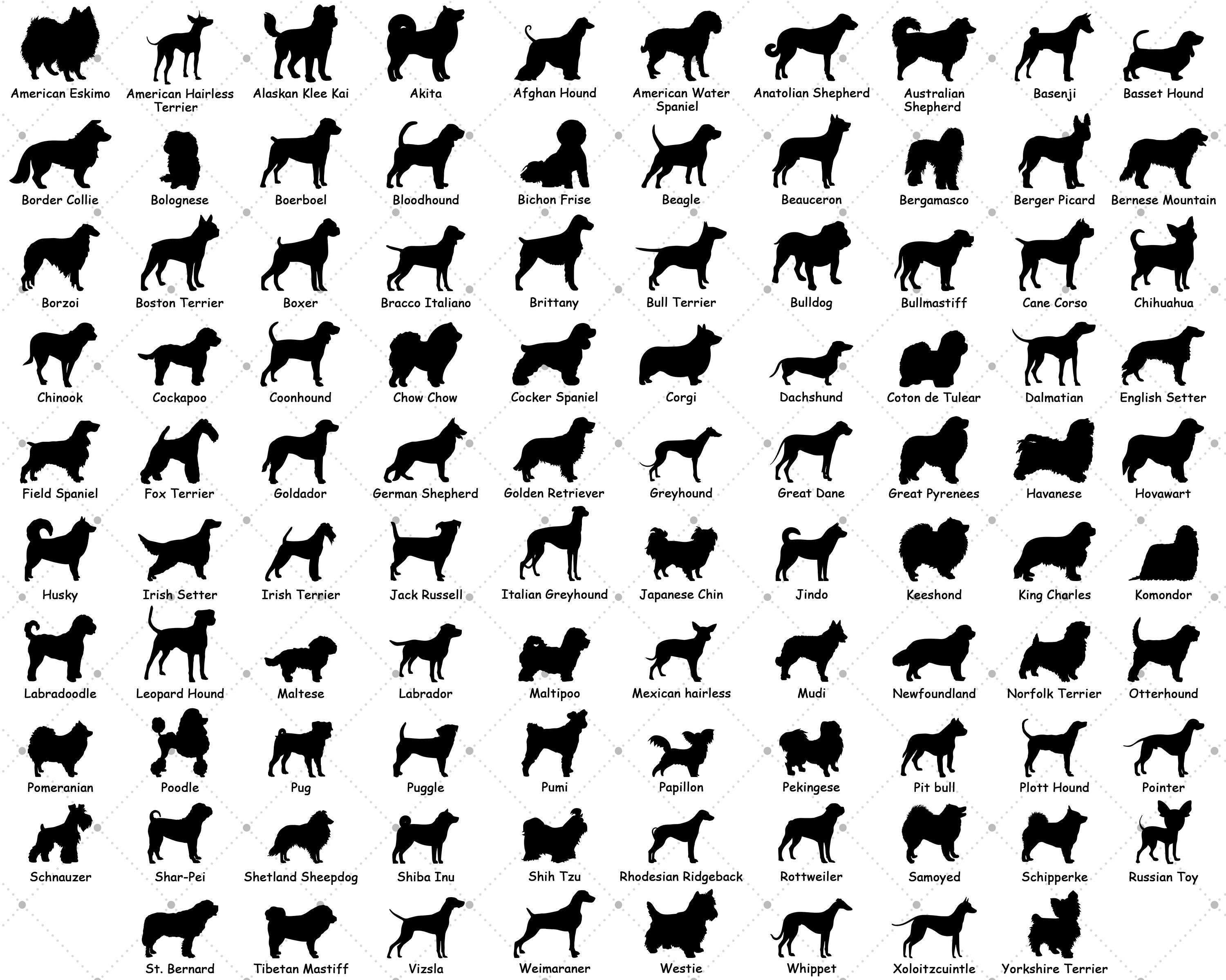 100 Dog Breed Silhouette svg Bundle Dog svg Bundle Dog | Etsy