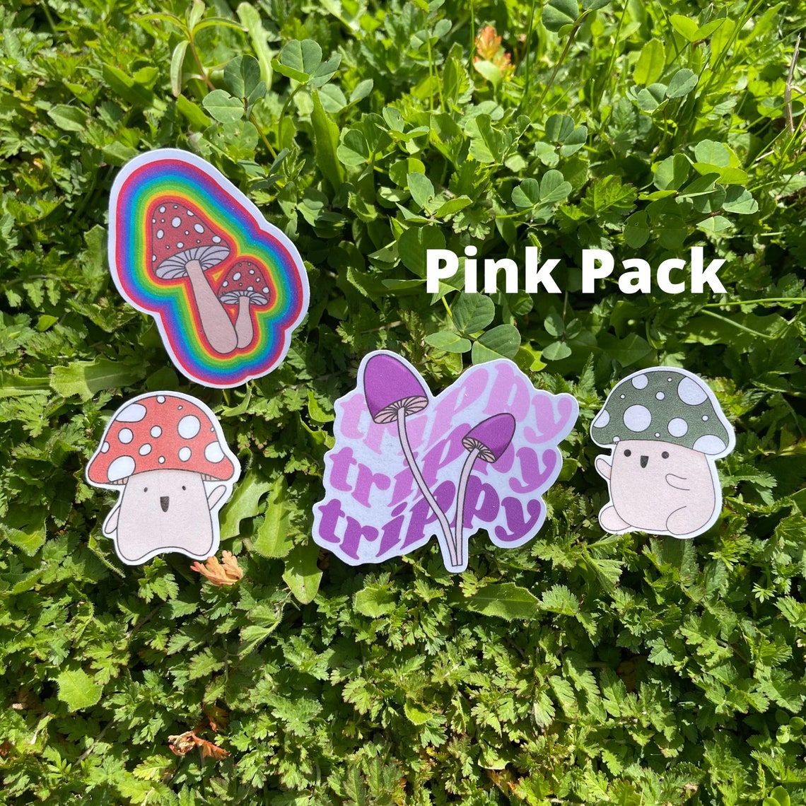 Mushroom Sticker Pack | Mushroom Decal Pack | Mushroom Stickers - Etsy