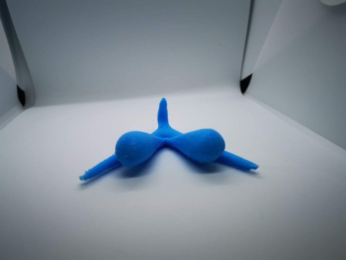 Clitoris 3d Model Medical Lab Decor Sex Education Class Feminist Room