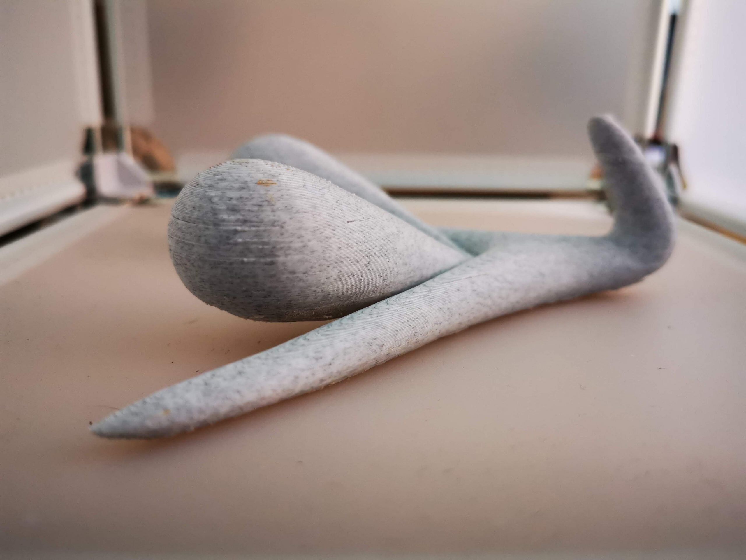 Clitoris 3d Model Medical Lab Decor Sex Education Class Etsy