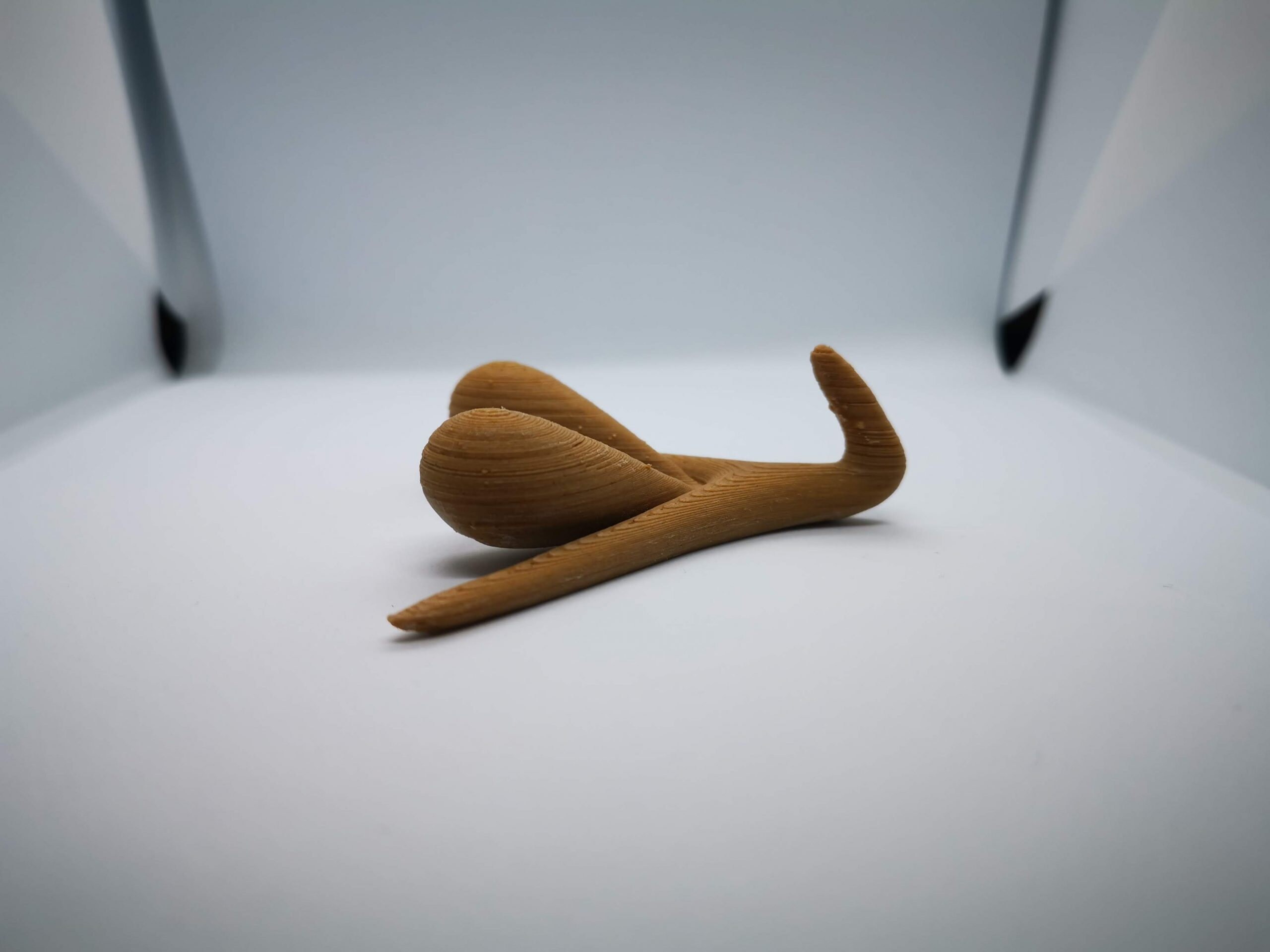 Clitoris 3d Model Medical Lab Decor Sex Education Class Etsy Australia