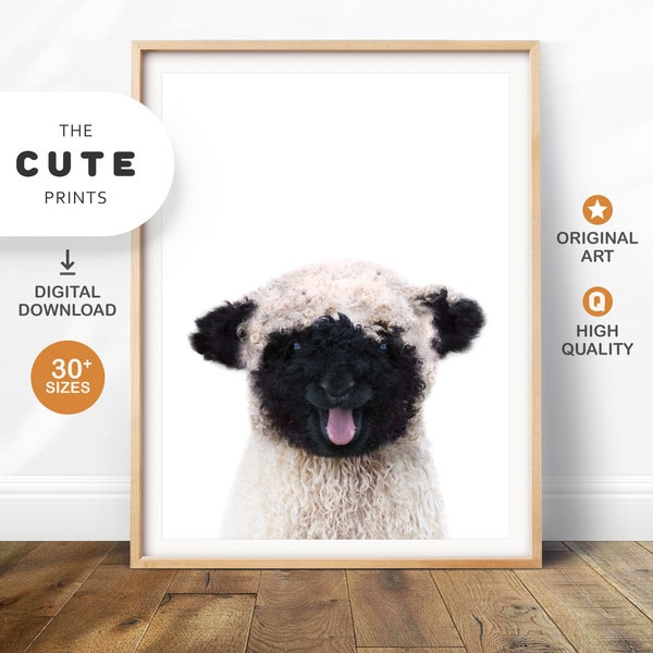 Cute Sheep Art - Etsy