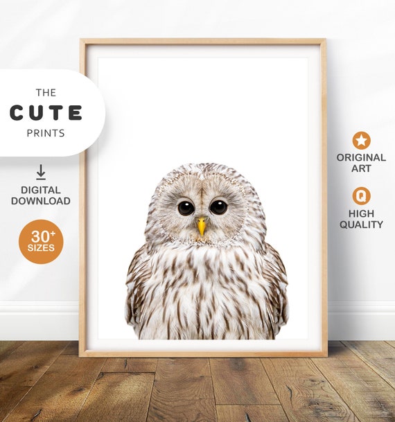 Owl Print Nursery Printable Wall Art Woodland Animal Prints | Etsy