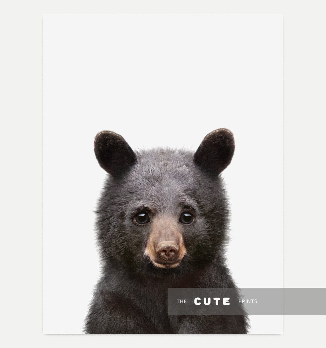 Baby Bear Print Printable Nursery Wall Art Animal Prints | Etsy