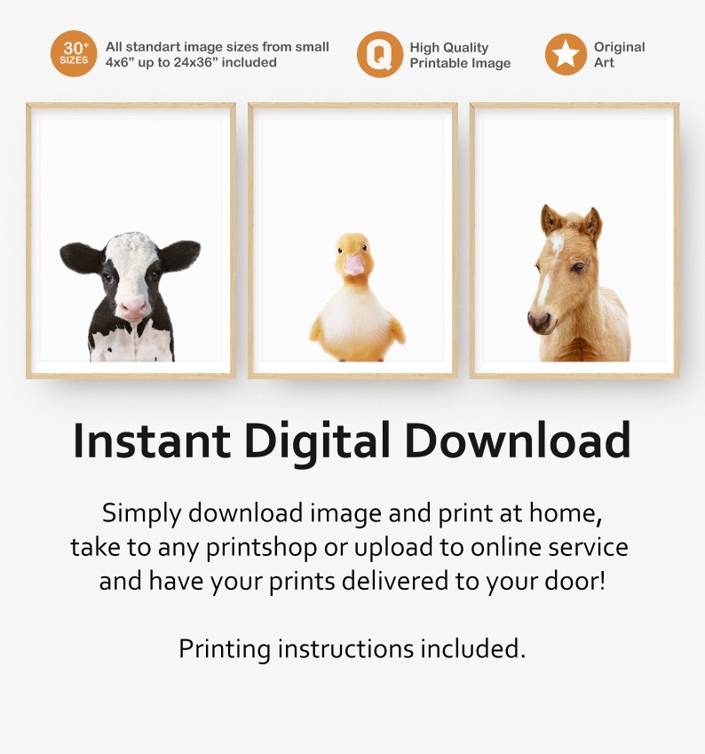 Farm Animal Prints Set of 3 Printable Wall Art Nursery Print | Etsy
