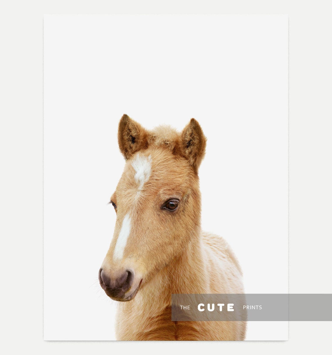 Farm Animal Prints Set of 3 Printable Wall Art Nursery Print | Etsy