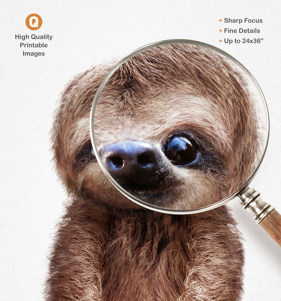 Sloth Print Nursery Printable Wall Art Baby Sloth Poster | Etsy