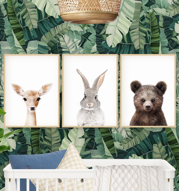 Woodland Nursery Decor Baby Animal Prints Set of 3 Nursery | Etsy
