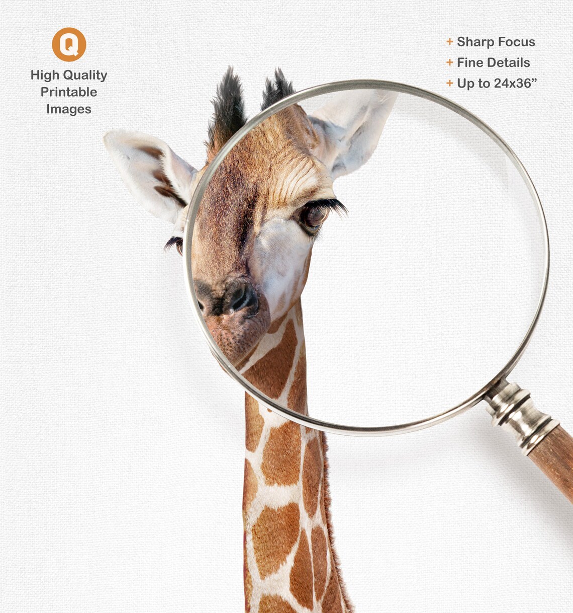 Jungle Animal Prints Safari Nursery Print Set of Baby | Etsy