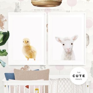 Chick Art Print, Printable Wall Art Nursery Decor Prints, Farm Baby ...