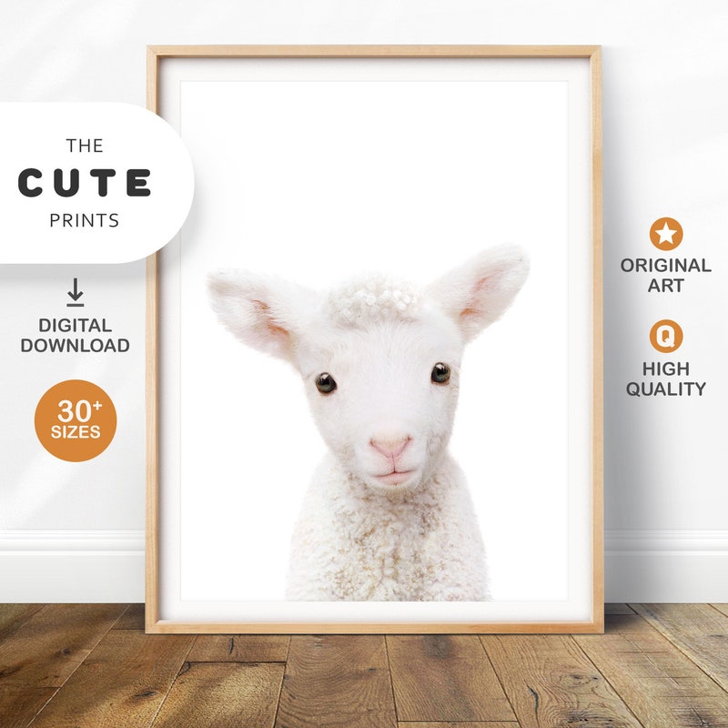 Lamb Print - Etsy