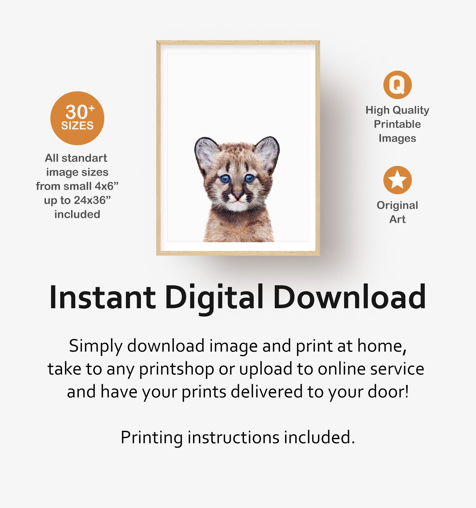 Nursery Animals Art Puma Print, Safari Baby Puma Cub - Etsy