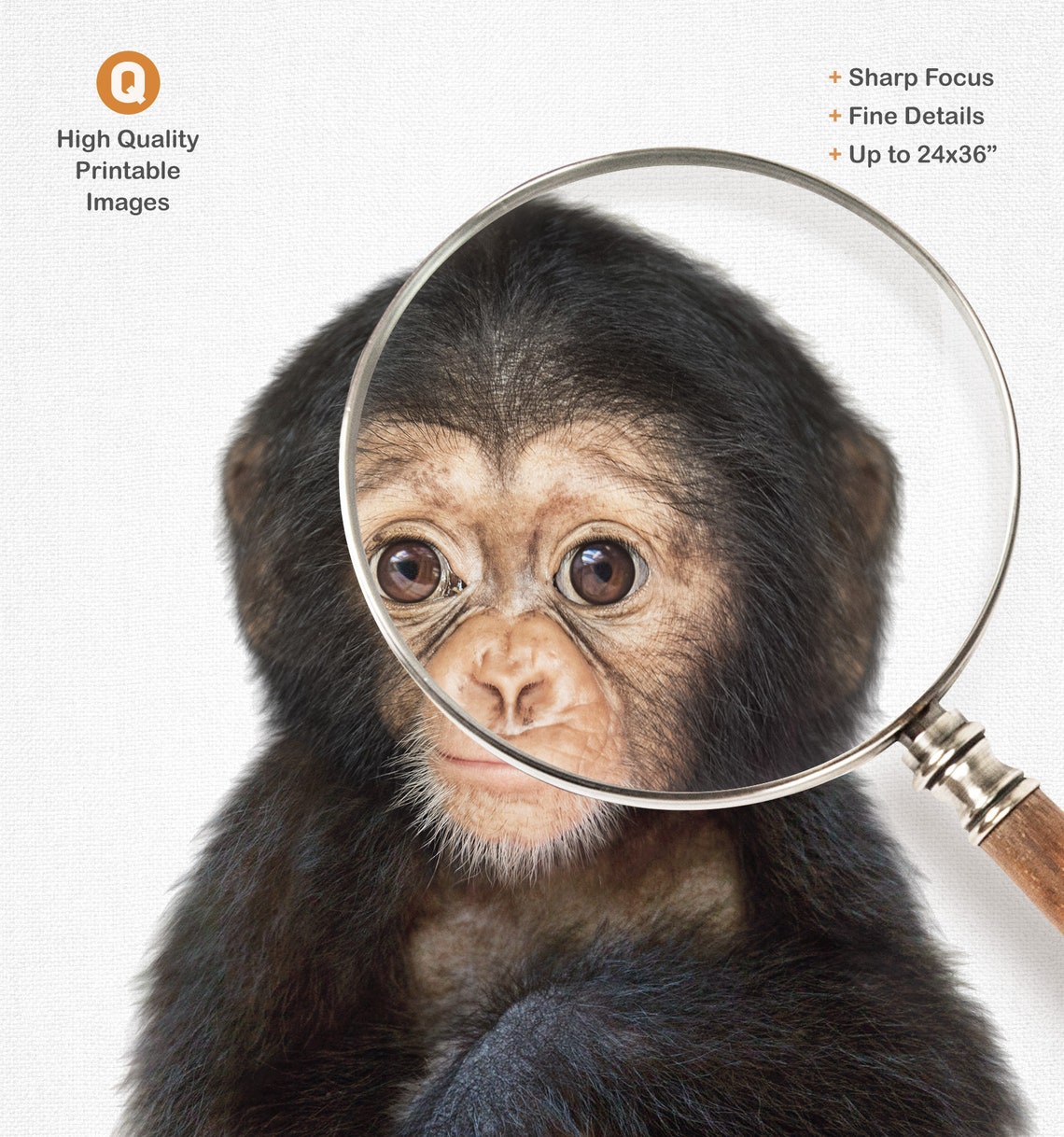 Monkey Print Printable Nursery Decor Chimp Wall Art Cute | Etsy