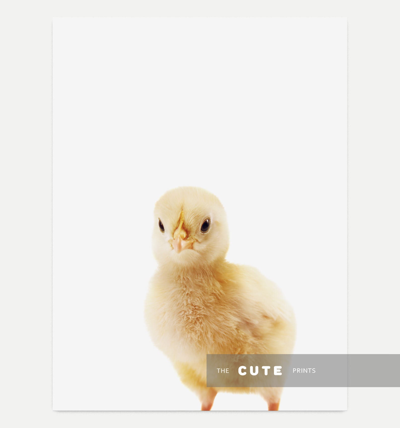 Chick Art Print Printable Wall Art Nursery Decor Prints Farm - Etsy