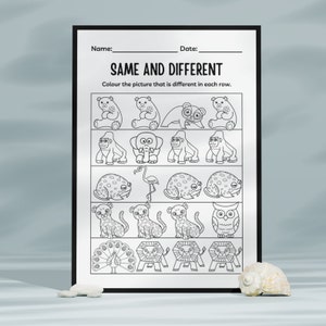 Learning Pack | Tracing, Counting, Coloring, Differences, Motor Skills ...
