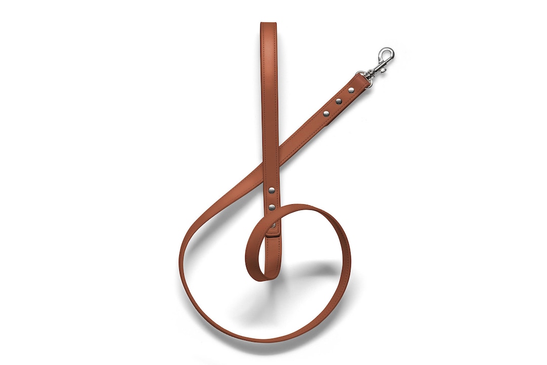 Luxe Brown - Premium Pet Lead (silver) - Etsy