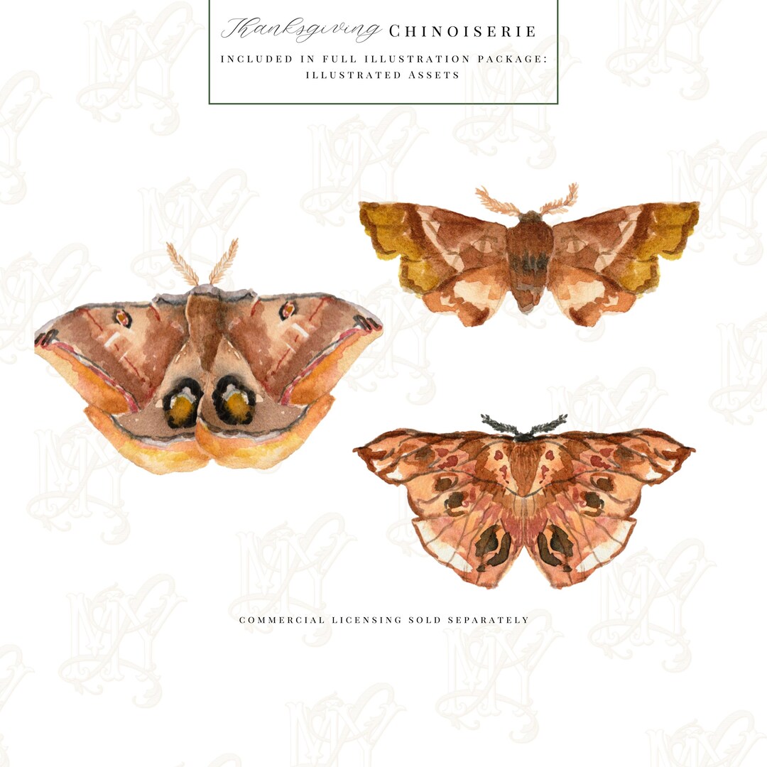Moths , Watercolor Illustration Clipart Package - Stationery ...