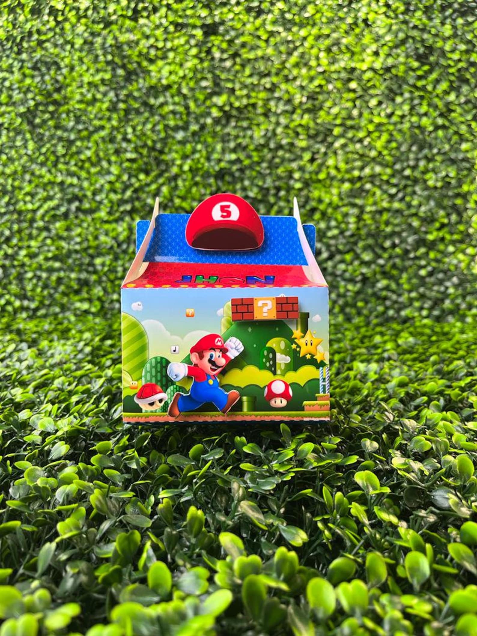 Super Mario Bros Favor Box / Mario and Luigi Goodie Box / Mario Bros ...