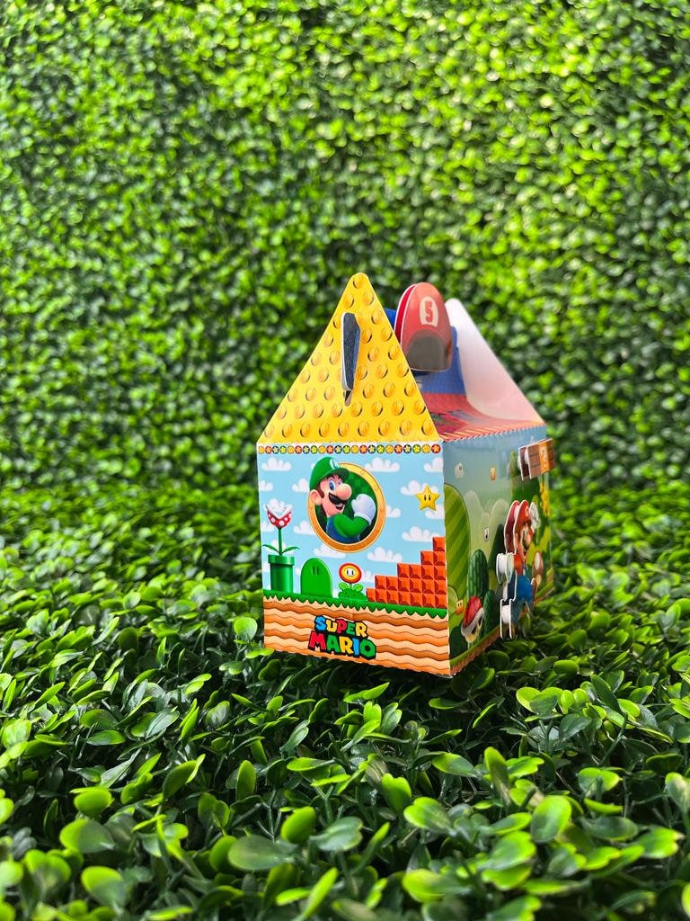 Super Mario Bros Favor Box / Mario and Luigi Goodie Box / Mario Bros ...