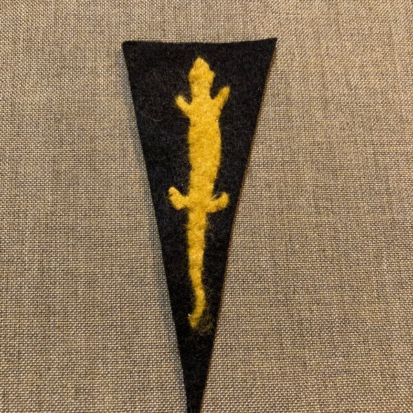 Chameleon Camouflage - Etsy