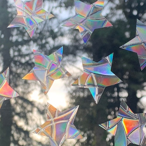 Butterfly Net Frog Clear Vinyl Sticker | Etsy