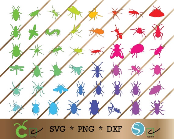 INSECT CLIPART Digital Download Insect Dxf Insect SVG Bugs - Etsy UK