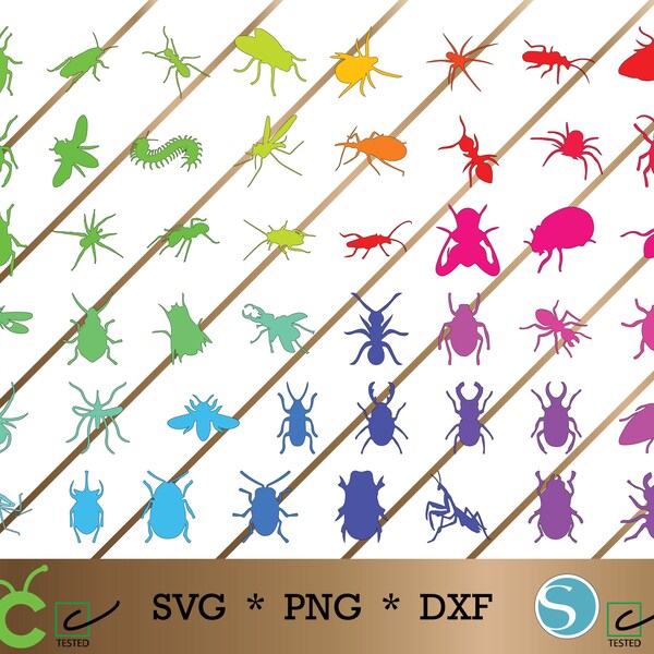 Insect Clipart - Etsy