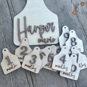 Baby Milestones | Ear Tag Milestones | Western Month Milestones ...