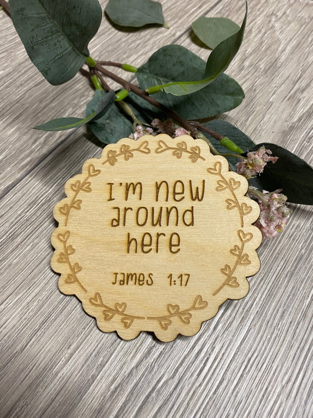 Full Set of Baby Milestone Plaques | Bible Verse Photo Props | Newborn ...