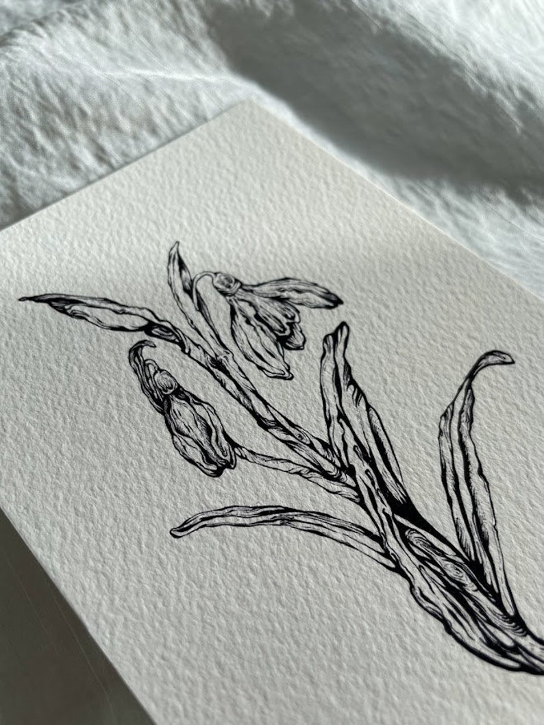 Snowdrops. Digital File. Floral Tattoo. Floral Art. Botanical Art ...