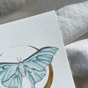 Luna Moth and Lunar. Print of the Original Illustration. Celestial Art ...