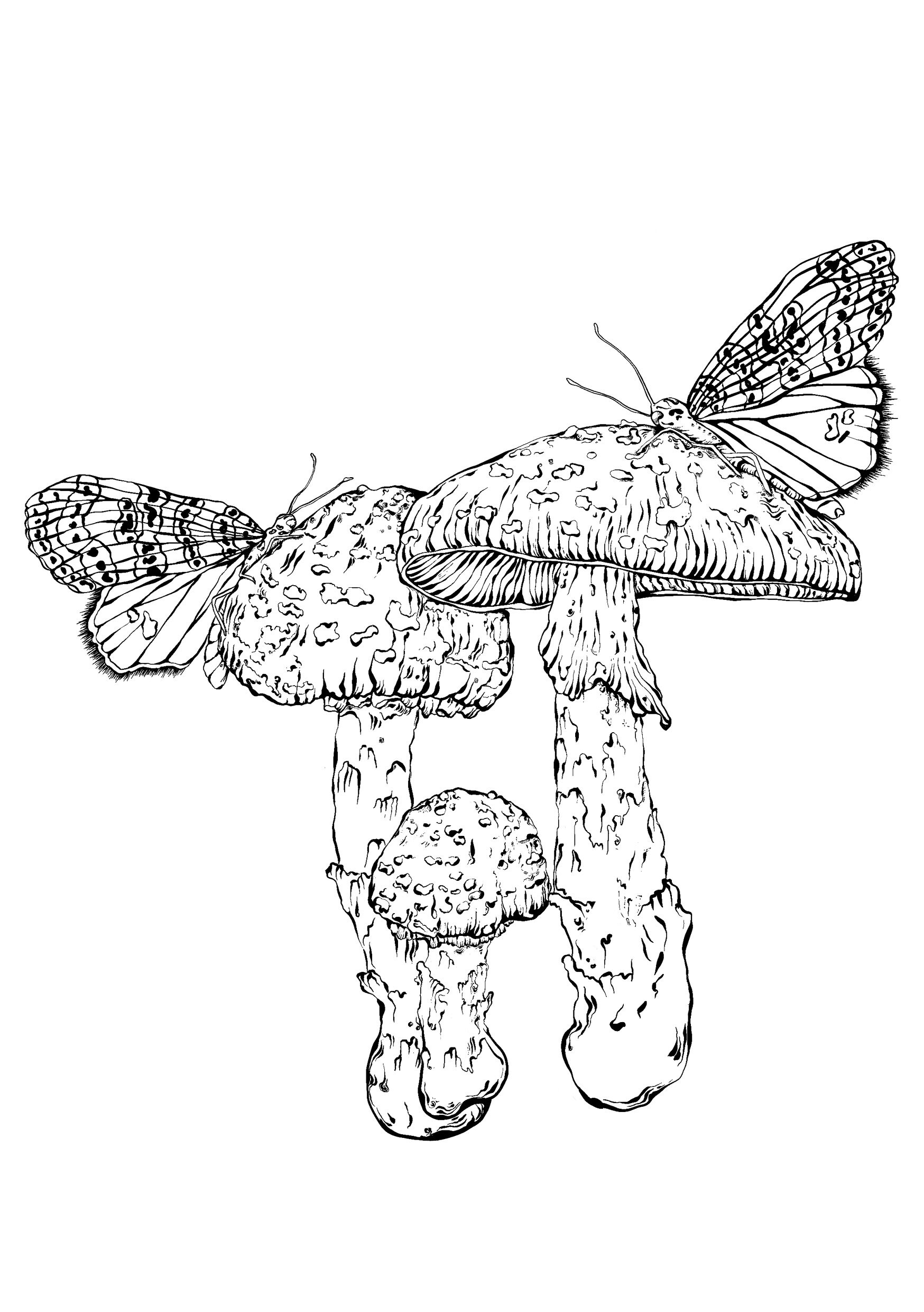 Bella Moths & Amanita Mushrooms. Digital Print. Botanical Art. Instant ...