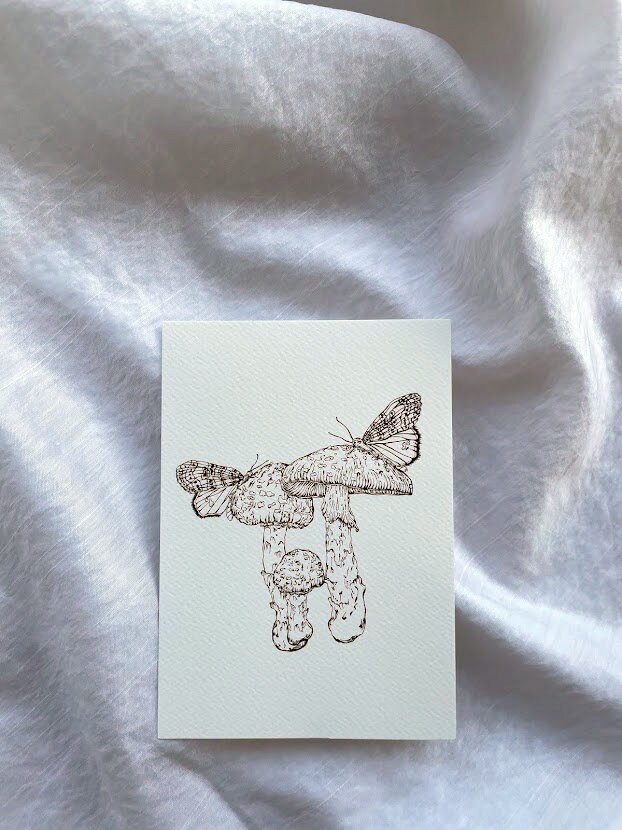 Bella Moths & Amanita Mushrooms. Digital Print. Botanical Art. Instant ...