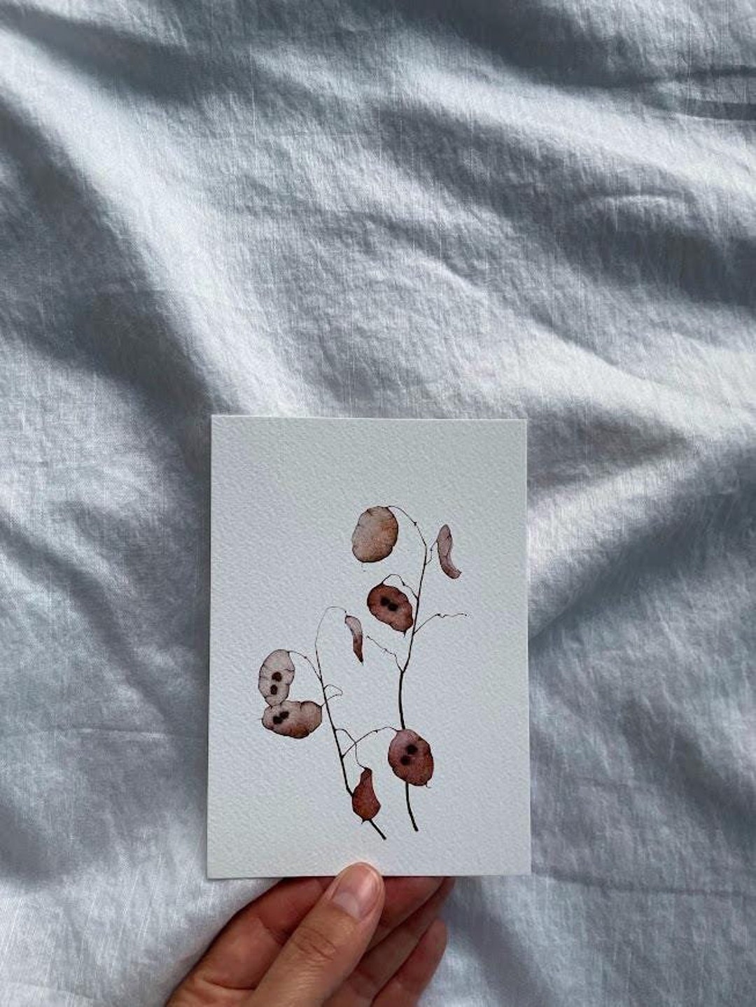 Lunaria. Dried Money Plant. Digital File. Botanical Art. Instant ...
