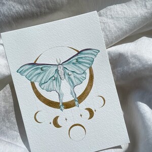Luna Moth and Lunar. Print of the Original Illustration. Celestial Art ...