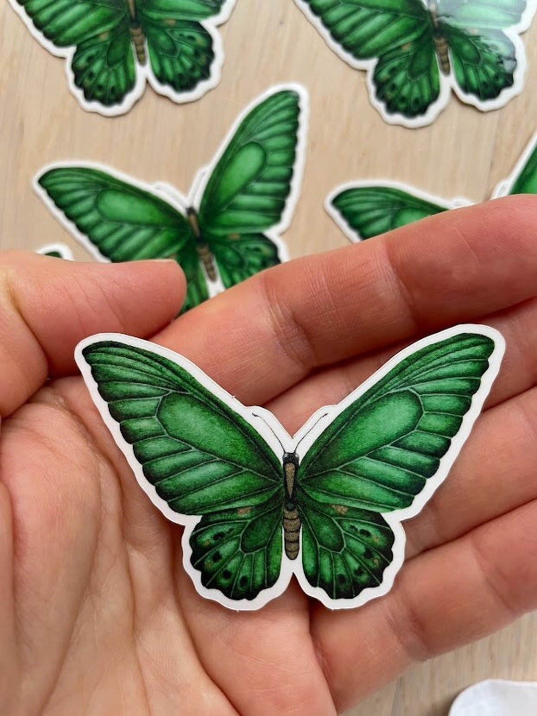 Cairns Birdwing Butterfly Sticker - Vinyl Sticker - Emerald Butterfly ...