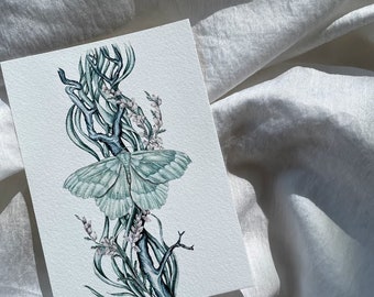 Large Moth Poster - Etsy