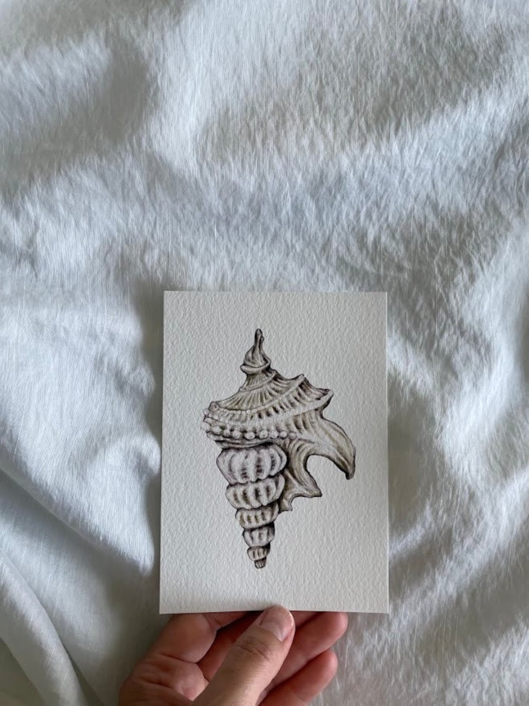 NEW: Seashell Digital File. Instant Download - Etsy