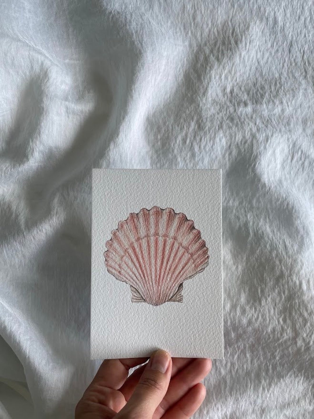 Scallop Shell Digital File. Instant Download - Etsy