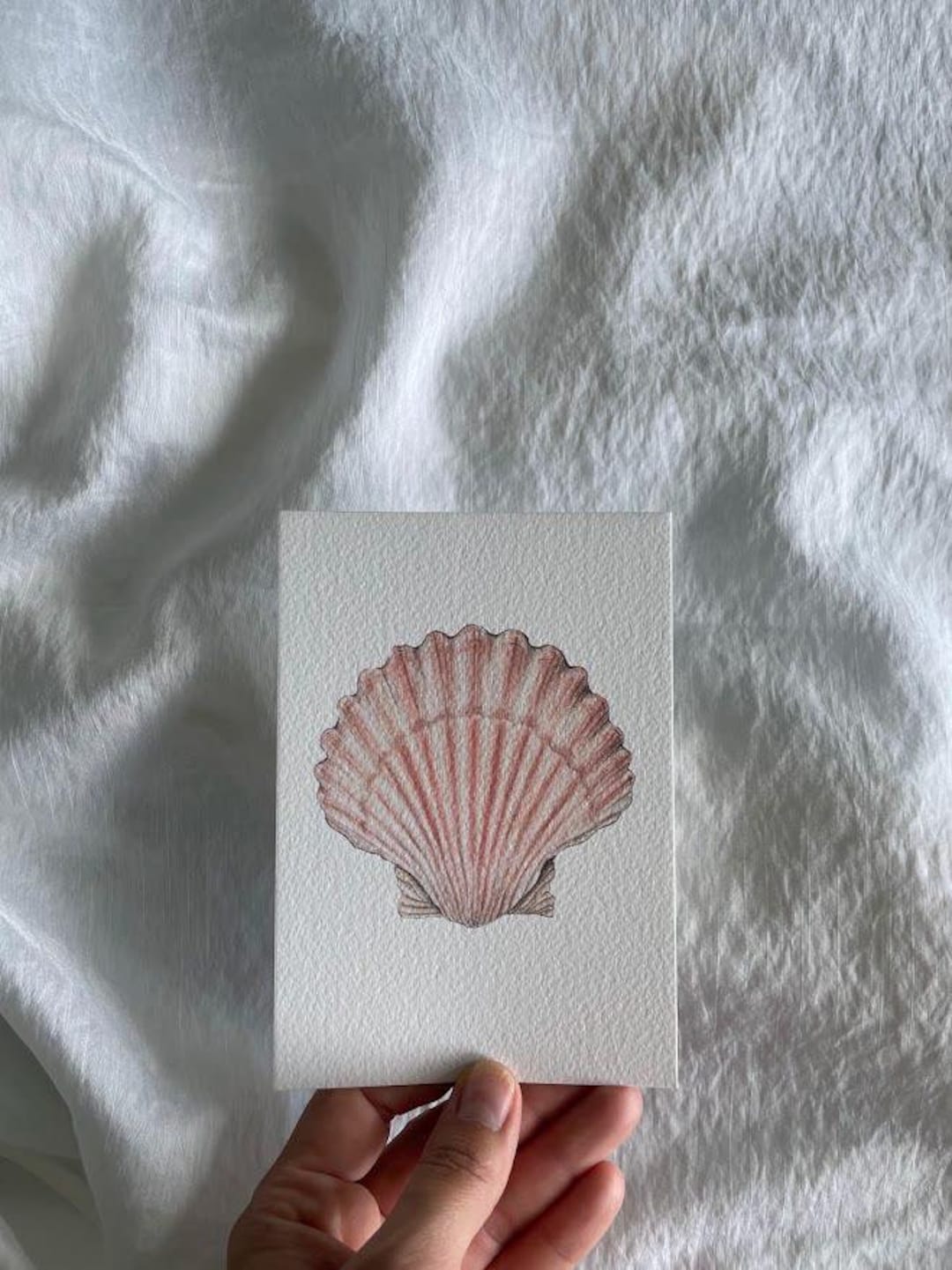 NEW: Scallop Shell Art Print - Watercolor - Home Decor - Etsy