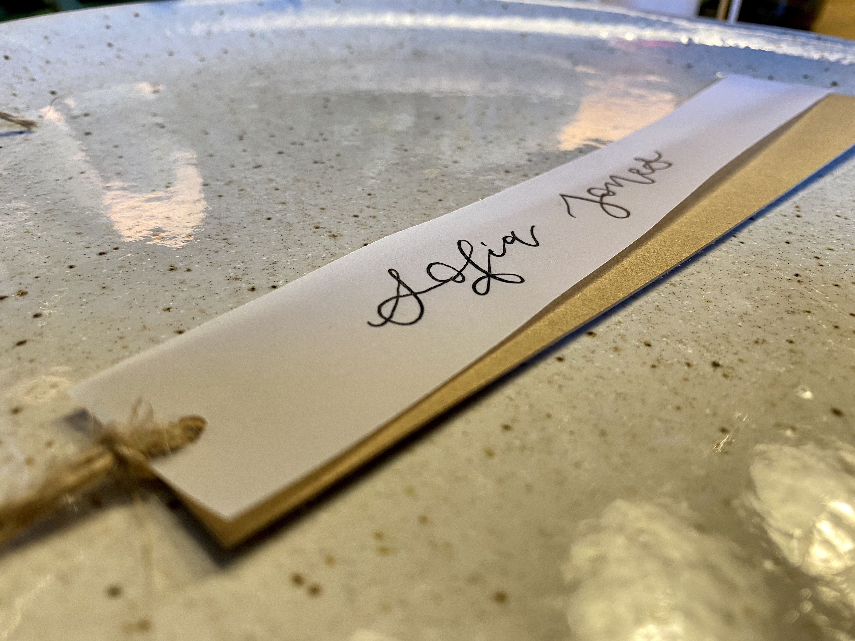 Vellum Tag Place Cards the Tag Collection Handwritten Calligraphy Place ...