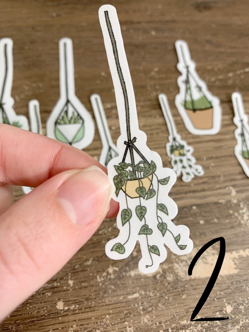 Hanging Plant Sticker Pack - Etsy